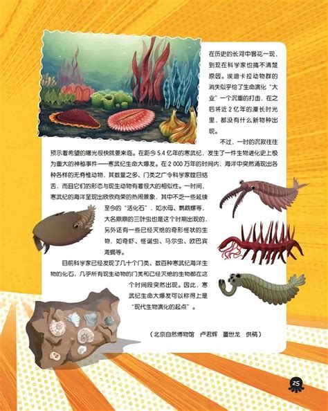 广东灵创展览展示有限公司 广州灵创标本文教用品有限公司