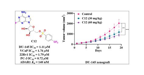 Design Synthesis And Activity Evaluation Of Novel Nucleosides As