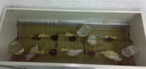 Multiple Platform Apparatus Download Scientific Diagram