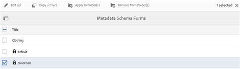 use the metadata schema form