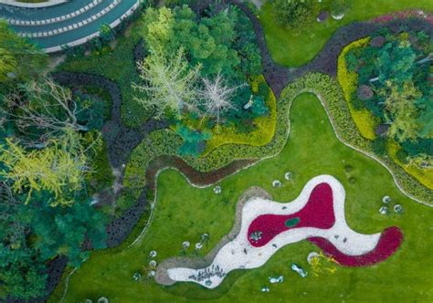 梦绿构建 2020“梦想家园”绿色健康人居 搜狐大视野 搜狐新闻