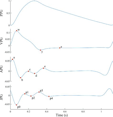 Ppg Derivatives With Characteristic Points Illustration Of A Typical Download Scientific