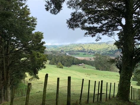 Interpine Innovation On Linkedin Survey Forest Inventory