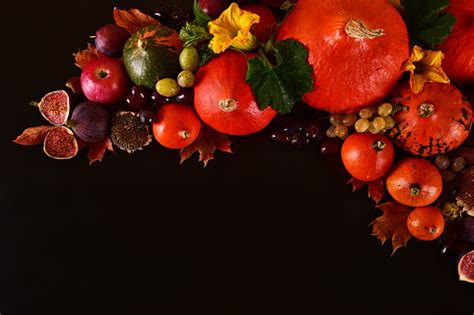 가을 배경은 그라데이션의 형태로 다채로운 과일과 꽃의 여전히 생활 텍스트에 배치합니다 0명에 대한 스톡 사진 및 기타 이미지 0명 10월 9월 Istock