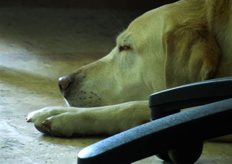 MV S Tip Of The Week 09 PlanetFigure Miniatures