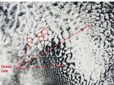 Mesoscale Cellular Convection