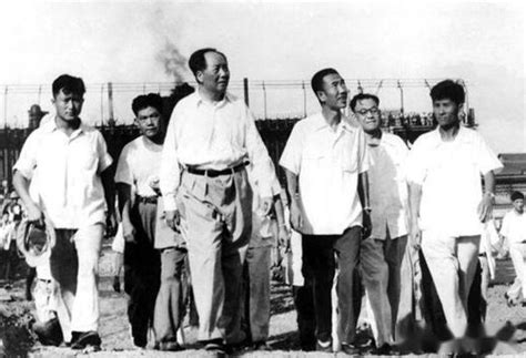 1950年，毛主席视察东北后亲令调查，揪出了两大贪官 知乎
