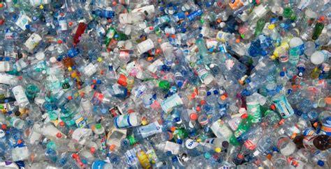 Scientists Discover Worm Species That Eats Plastic — It May Save The