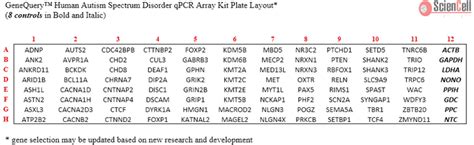 Human Predesigned Qpcr Arrays Biosan