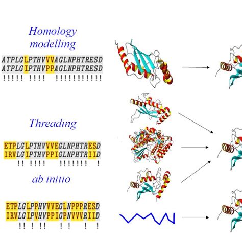 Structural Modeling Methodology In Function Of Sequence Identity