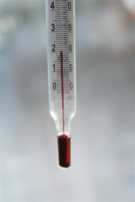 How To Measure The Optimum Temperature For An Enzyme