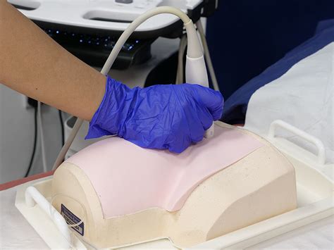 Ultrasound Guided Nerve Blockade Course