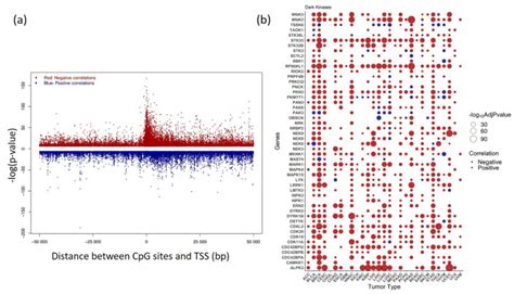 Pan Cancer Analysis Of Human Kinome Gene Expression And Promoter DNA Methylation Identifies Dark