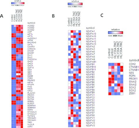 High Throughput Gene Expression Microarray A Differentially Expressed Download Scientific