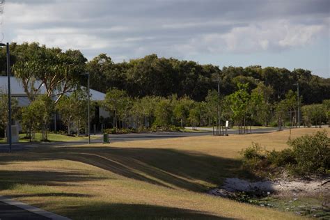 Img0596 Nick Cosentino Flickr