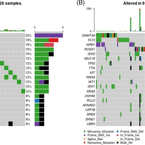 Mutational Landscape Panel A Shows Oncoplot Of The 20 Most Commonly Download Scientific
