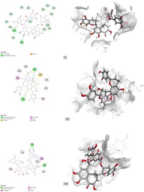 2d And 3d Interactions Of Protein Ligand Complex Post Md Simulation Of Download Scientific