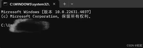 【终端入门】：手把手教你打开终端，使用终端，别怕，终端没什么吓人的，大白话教终端，小白初学者入！ 在终端中打开怎么操作 csdn博客