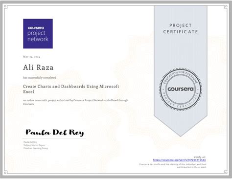 ali raza on linkedin coursera excel datavisualization salesanalytics dashboardcreation…