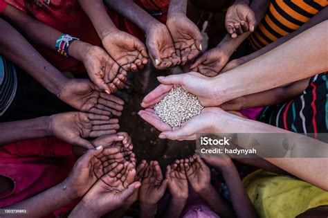 가난한 사람의 손 음식을 요구하는 아이들 아프리카 배고픈에 대한 스톡 사진 및 기타 이미지 배고픈 빈곤 아프리카 Istock