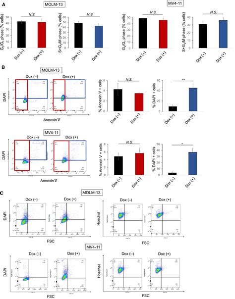 Txnip Regulates Plasma Membrane Permeabilization A Txnip