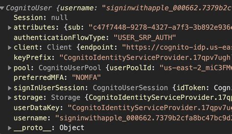 Signinwithapple And Amplify Not Working User Is Never Authenticated I Have All Lastest Updates