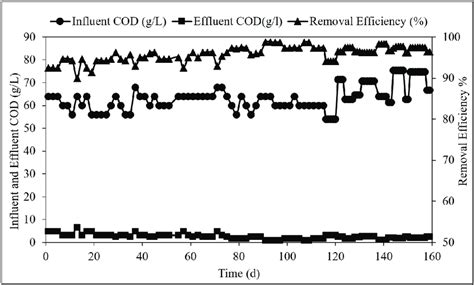 Influent And Effluent Cod Concentrations And Removal Efficiency During