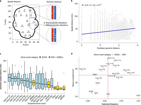 integrated analysis of genomic and spatial distances a cartoon showing download scientific