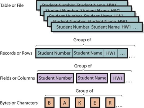 Ch 4 Database Processing Flashcards Quizlet