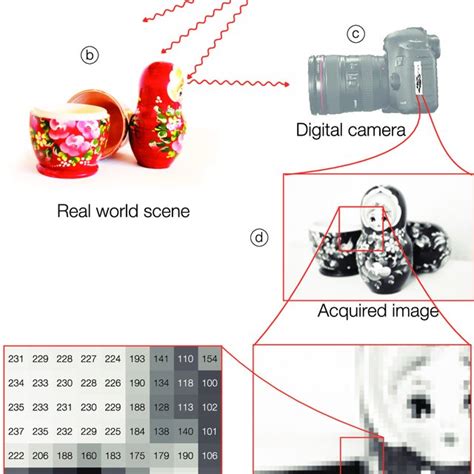 1 Illustration Of The Image Formation Process The Final Digital Image Download Scientific