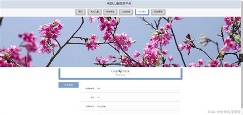 java失踪儿童信息平台 开题 源码 基于javaweb的走失儿童平台e r图 csdn博客