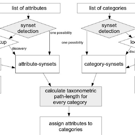 Structure Of The Script Used For Testing The Assignment Of Attributes Download Scientific Diagram