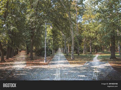 Three Paths Through Image And Photo Free Trial Bigstock