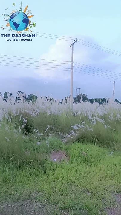 কাশফুল বারনই আবাসিক এলাকা রাজশাহী। Kashful Barnoy Residential Area Rajshahi Youtube