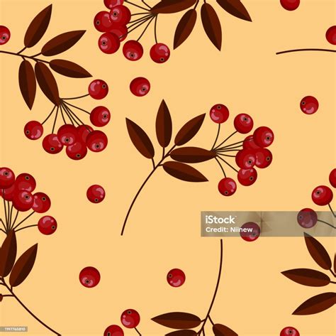 가을 꽃 원활한 패턴의 단풍과 열매 가을 시즌을위한 벡터 일러스트 디자인입니다 0명에 대한 스톡 벡터 아트 및 기타 이미지 0명 가을 견과 Istock
