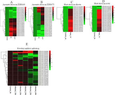 Genome Wide Identification And Expression Profile Analysis Of The Hsp20