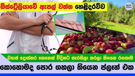 තම බිරිඳගේ ඕස්ට්‍රේලියාවේ ඇපල් වත්තේ ඡොබ් දෙන්න ගිය දොස්තරගේ පැටිකිරිය Australian Exclusive