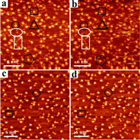 Time Lapsed STM Images Of Ensembles Of TFAP And R NEA On Pt The Download Scientific