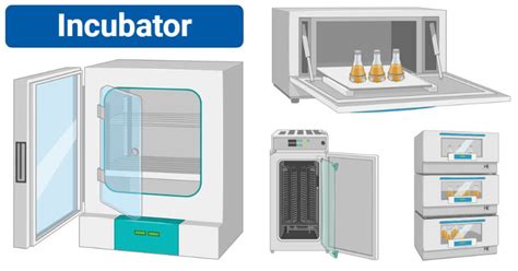 Laboratory Incubator Drawing Lab Incubator Parts Working Types