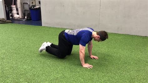 Quadruped Fire Hydrant Youtube