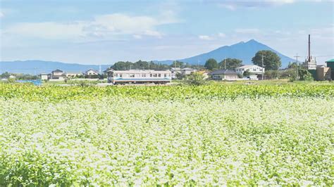 Remember Dear Cloud Lyrics I Remember You Ost Youtube