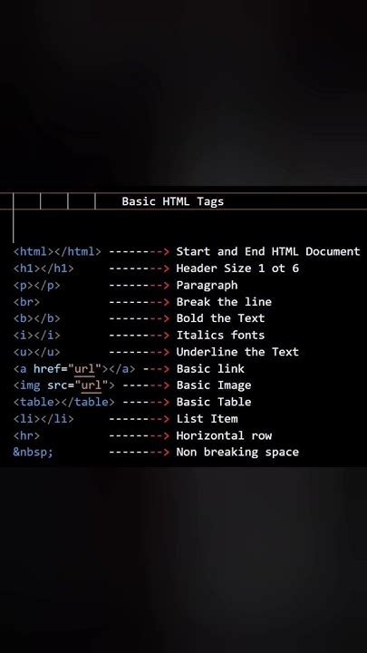 Basic Html Tags For Beginners Shorts Bca Html Htmltag Youtube