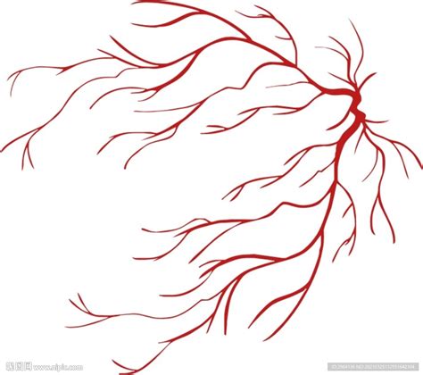 设计图 医疗保健 生活百科 设计图库 昵图网