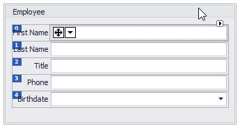 Flow Layout Winforms Controls Devexpress Documentation