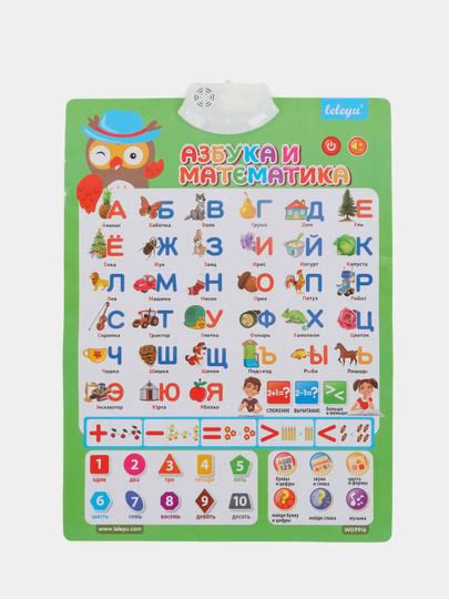 Обучающие плакаты купить по выгодной цене в интернет магазине Магнит Маркет