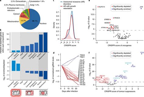 analysis of cell essential genes a distribution of cell essential