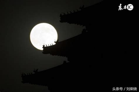 七絕幽居 每日頭條