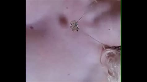 A Quick Tail Swipe Xxx Mobile Porno Videos And Movies Iporntvnet