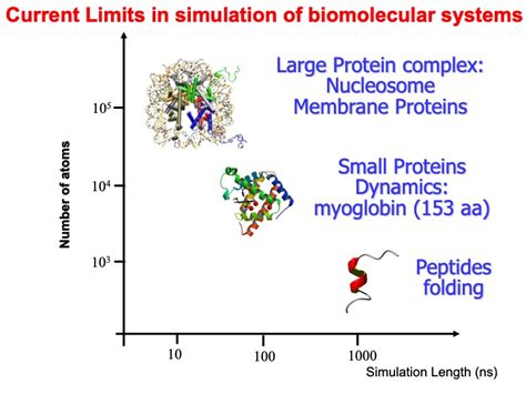 Seminar Series Molecular Dynamics Simulation Of Biomolecules