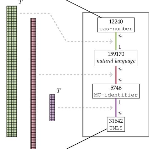 The Structure Of The Three Data Sets Db Mc And Dgn Top To Bottom Download Scientific